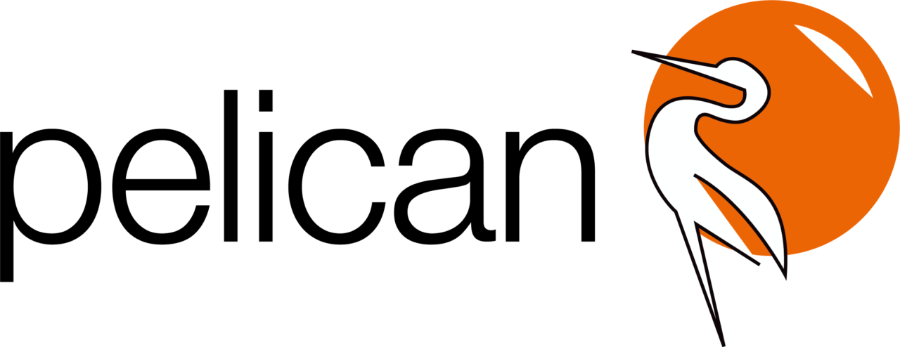 Hinjawadi Development Plan - Pelican